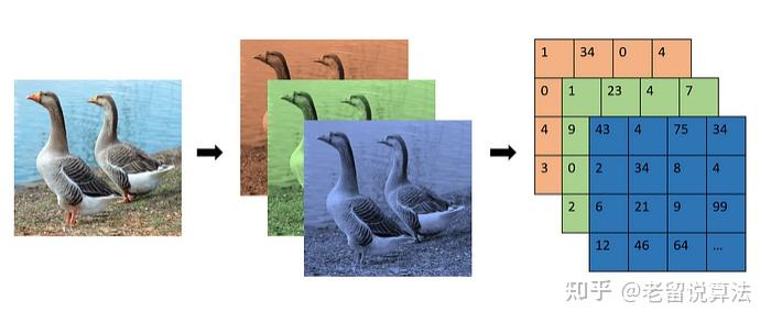 多模态入门|5个经典大模型带你了解大型多模态模型的视觉功能 - 知乎