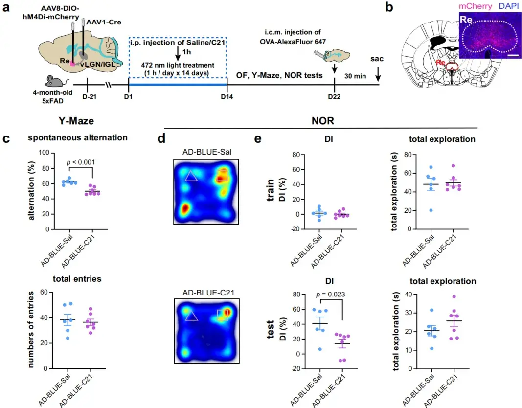 客户文章︱Nat. Commun.︱中山大学叶小菁/林伟杰/吴文团队解析蓝光治疗AD机制 - 知乎