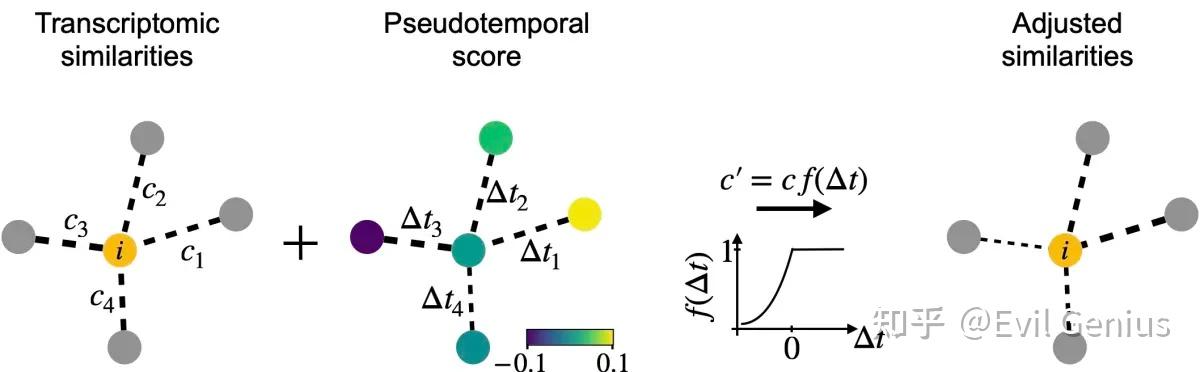 课前准备-单细胞新版velocity（cellrank 2） - 知乎