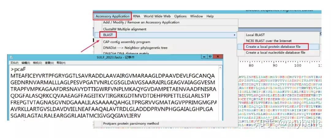 干货 | 当 BioEdit 遇上 Excel ，批量处理序列不用愁！ - 知乎