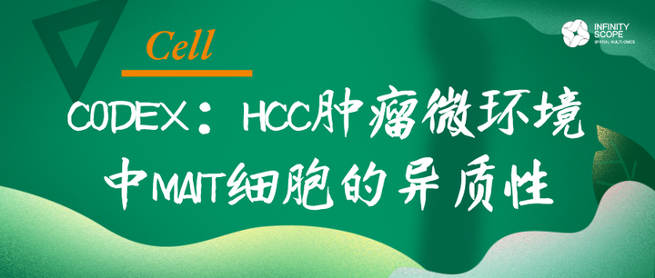 【Cell】CODEX：HCC肿瘤微环境中MAIT细胞的异质性 - 知乎