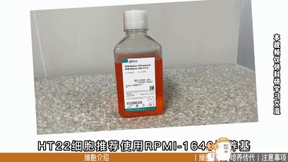 HT22细胞培养，小鼠海马神经元细胞培养攻略-丰晖生物 - 知乎