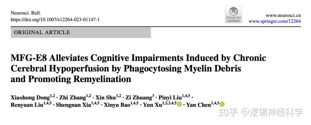 Neurosci Bull︱南京大学徐运/陈妍团队揭示MFG-E8通过吞噬髓鞘碎片改善慢性脑缺血相关认知障碍 - 知乎