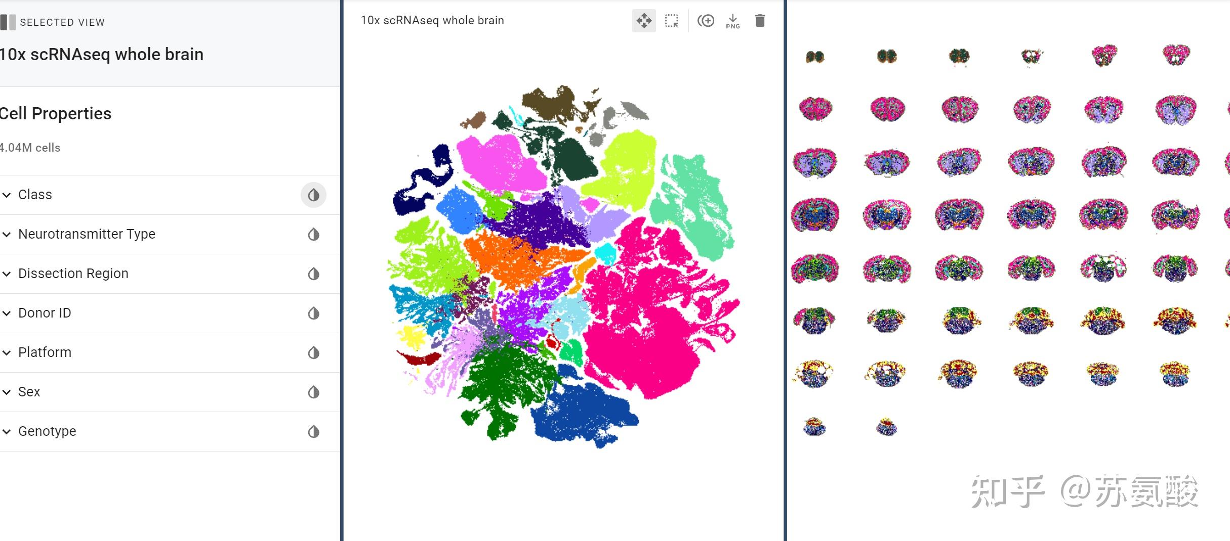 神经细胞标志物有哪些？ - 知乎