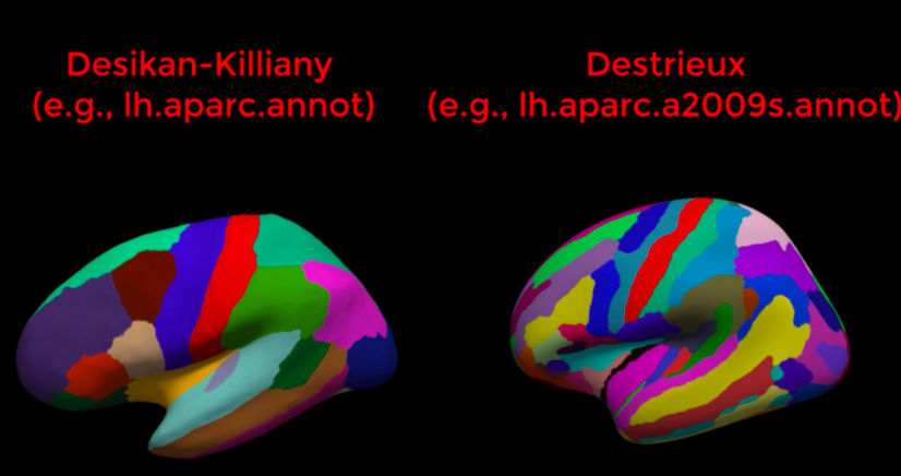 几种常见的功能性脑网络划分方式 - 知乎