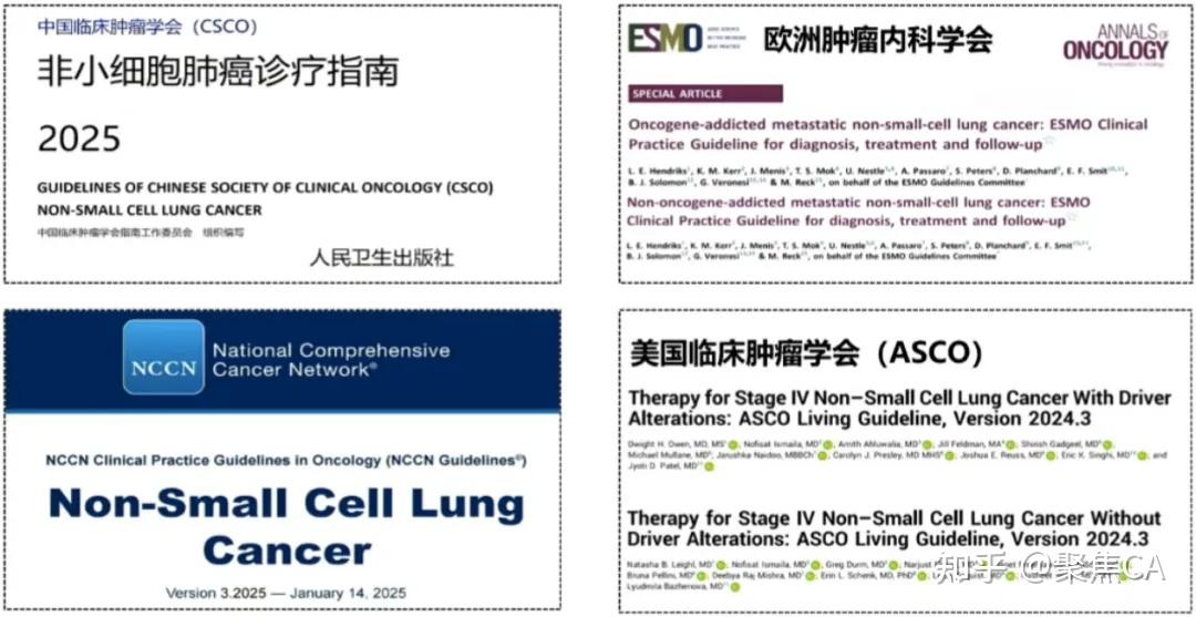 2025CSCO指南会 | 内附国内外用药大对比！一文掌握非小细胞肺癌指南更新关键差异 - 知乎