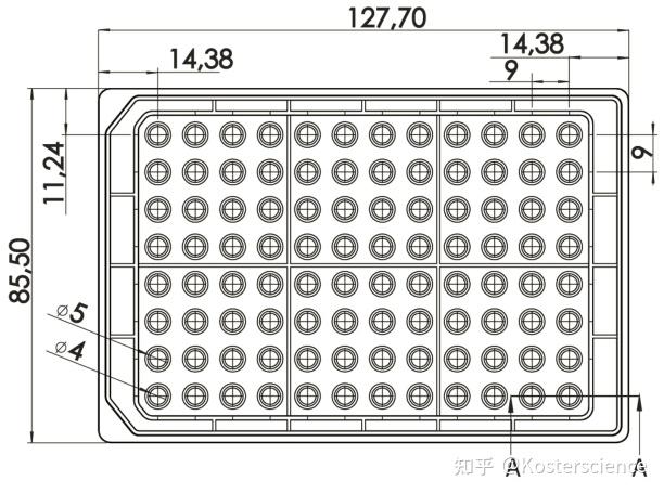 血管生成，势在必成 | ibidi 血管生成 96 孔板玩转指南 - 知乎