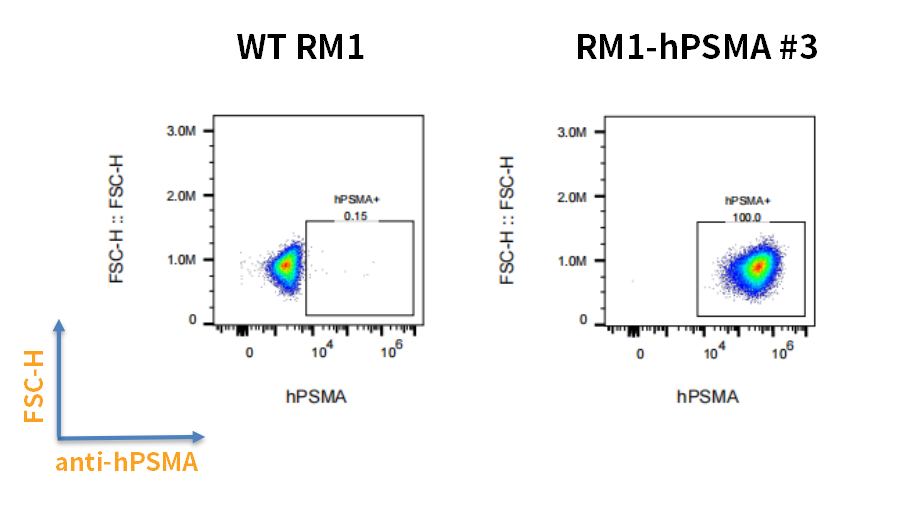 PSMA：前列腺癌明星靶点 - 知乎