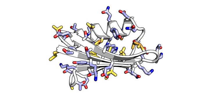 PyMOL绘图进阶 - 知乎