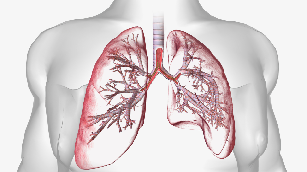 每日服用一次！囊性纤维化三联药物ALYFTREK在美获批 - 知乎