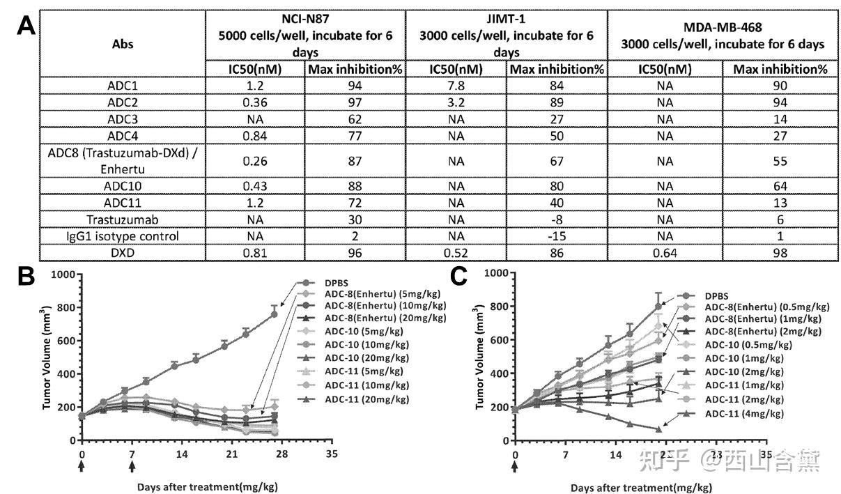 国内外知名企业ADC技术平台(第十三期)-Pyxis Oncology - 知乎