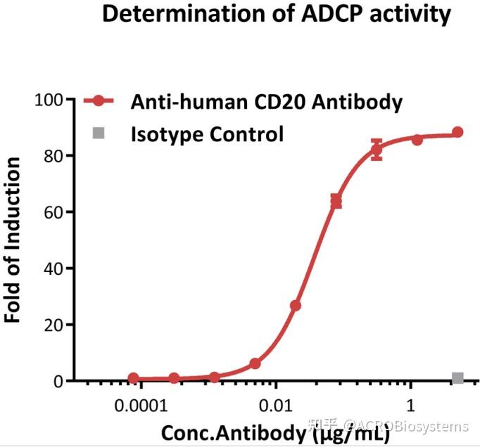 ADCC / ADCP细胞株——Fc工程化改造细胞水平验证工具 - 知乎