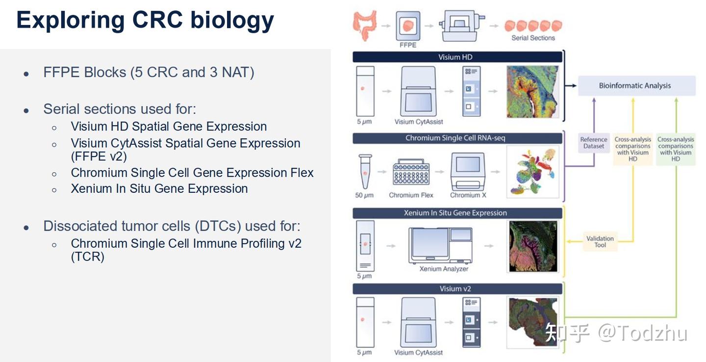 Visium HD 全流程分析--数据准备 - 知乎