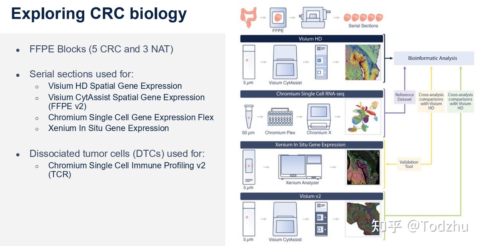 Visium HD 全流程分析--数据准备 - 知乎