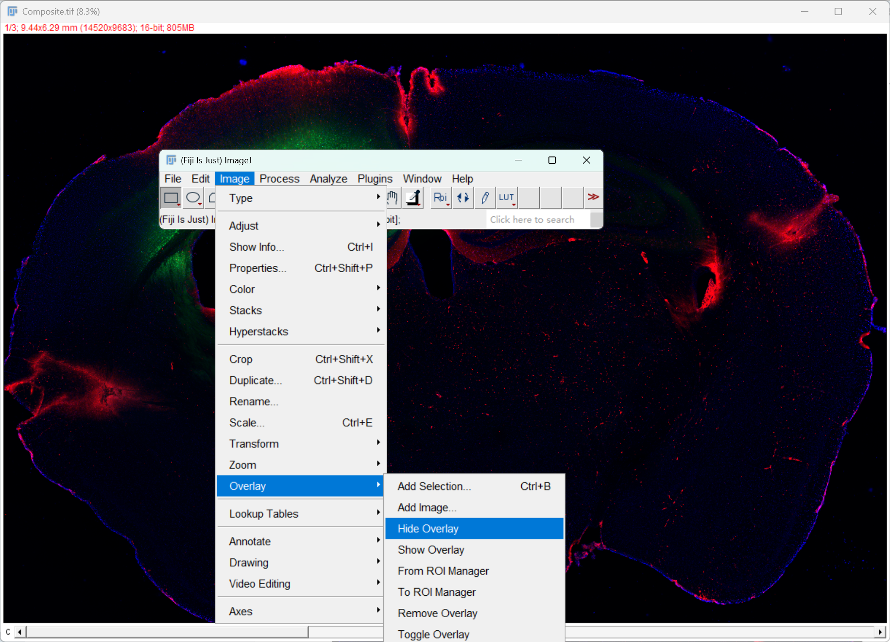 ImageJ Overlay：如何隐藏、显示和导出 - 知乎