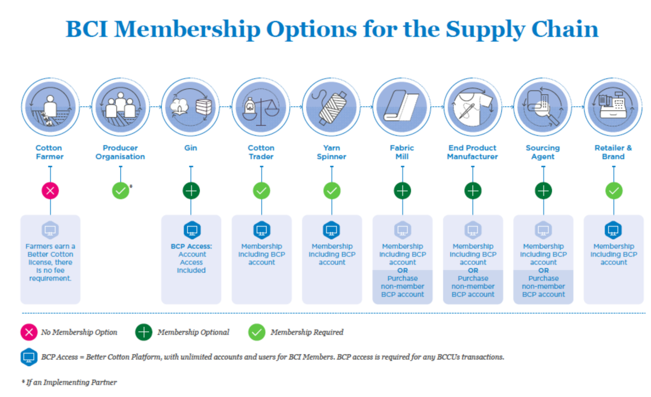 BCI 到底是一个怎样的组织，是如何运作的？ - 知乎