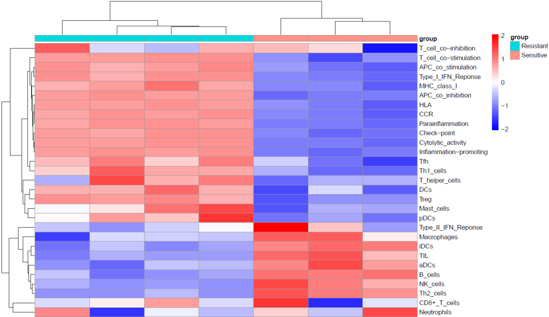 【实战】29种免疫细胞GSVA分析结果热图+箱型图绘制 - 知乎