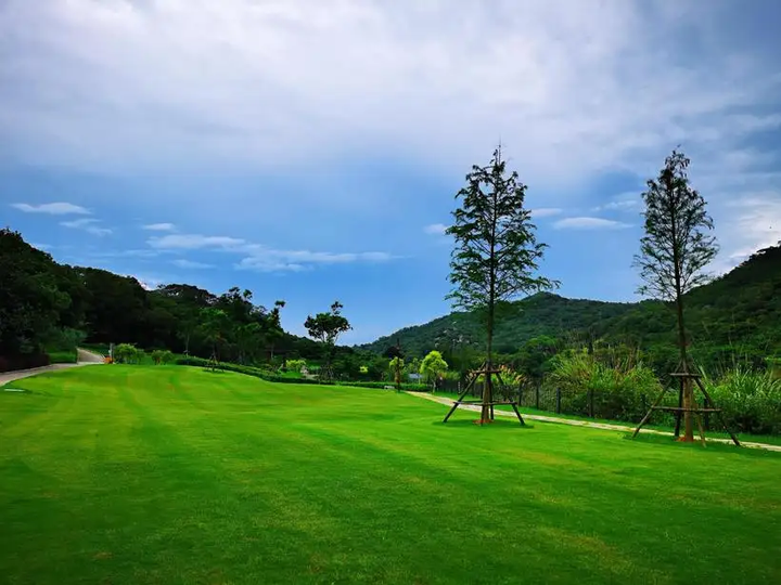 ME56 / ME57: S/4HANA 版本S4CORE 105的清单启用范围 - 知乎