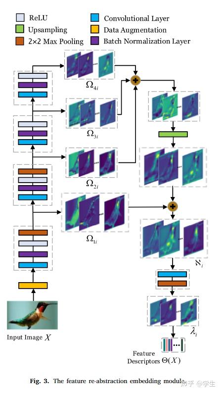 Re-abstraction and perturbing support pair network for few-shot fine-grained image ...
