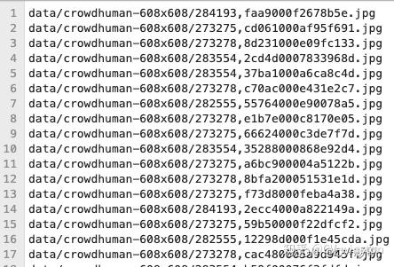 yolov7 训练crowded human 【head, full body, visible body box detection】 - 知乎