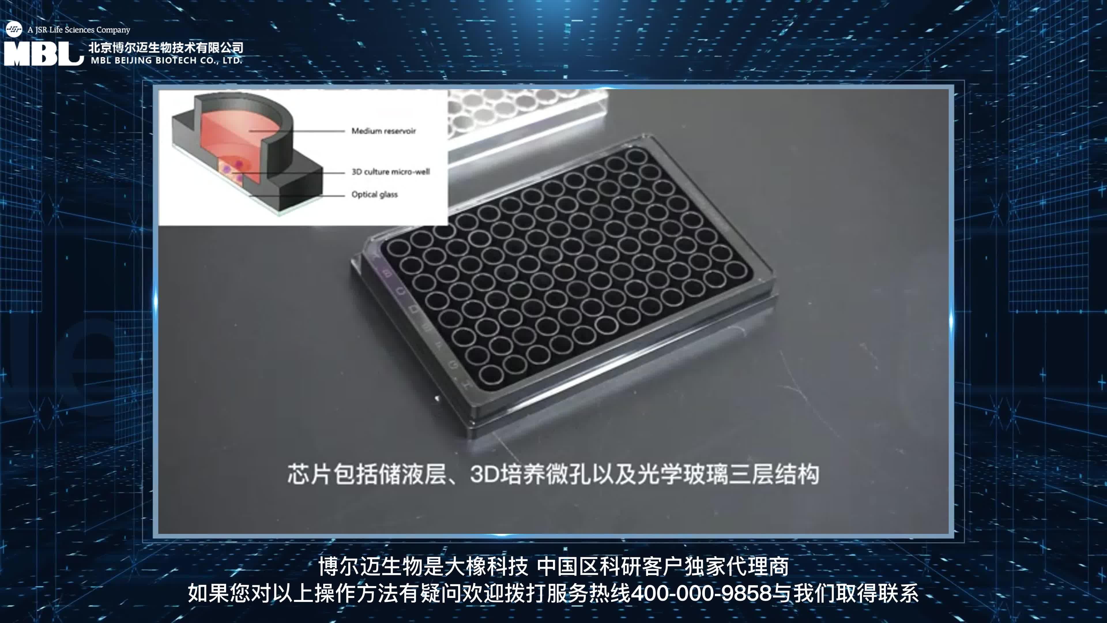 类器官芯片建立3d人原代肝细胞模型用于预测药物性肝损伤 知乎 8940