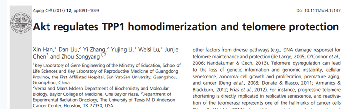 【文献翻译】Akt调节TPP1二聚体和端粒保护 - 知乎
