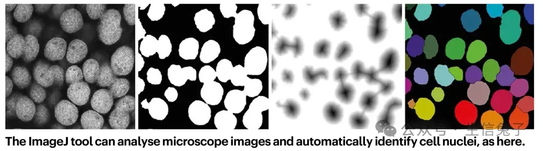 ImageJ 入门篇 | ImageJ 的下载和安装 - 知乎