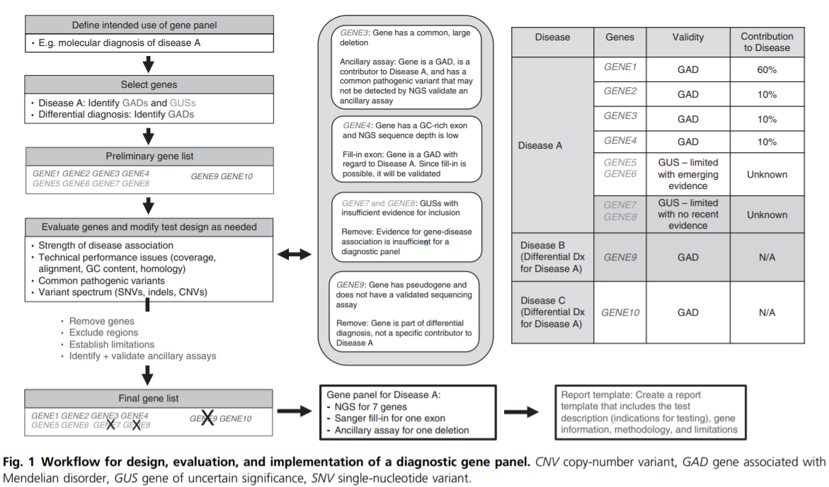 ACMG 评级指南与临床指导 - 知乎