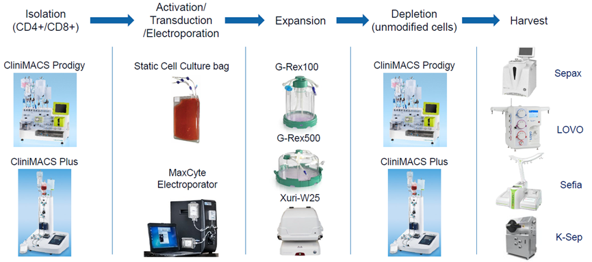 CGT系列 | CAR-T疗法工艺开发策略 - 知乎