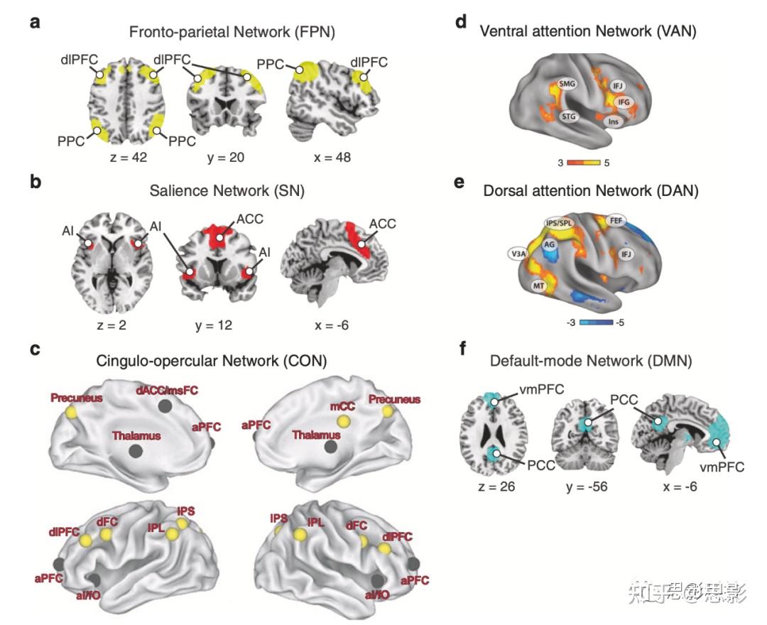 PFC网络在认知控制和执行功能中的作用 - 知乎