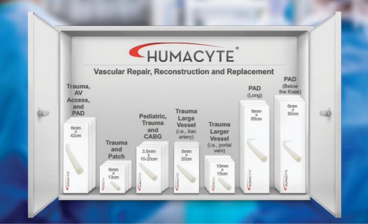 Humacyte：新一代人造血管领军者【1】概况；技术方法 - 知乎
