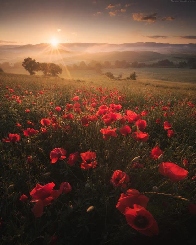 500px上最值得关注的5位国外风光摄影师 - 知乎