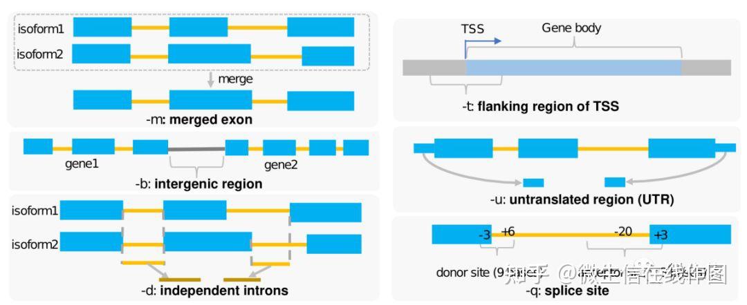 安利一款纯Python编写的GTF处理脚本 - GTFtools - 知乎