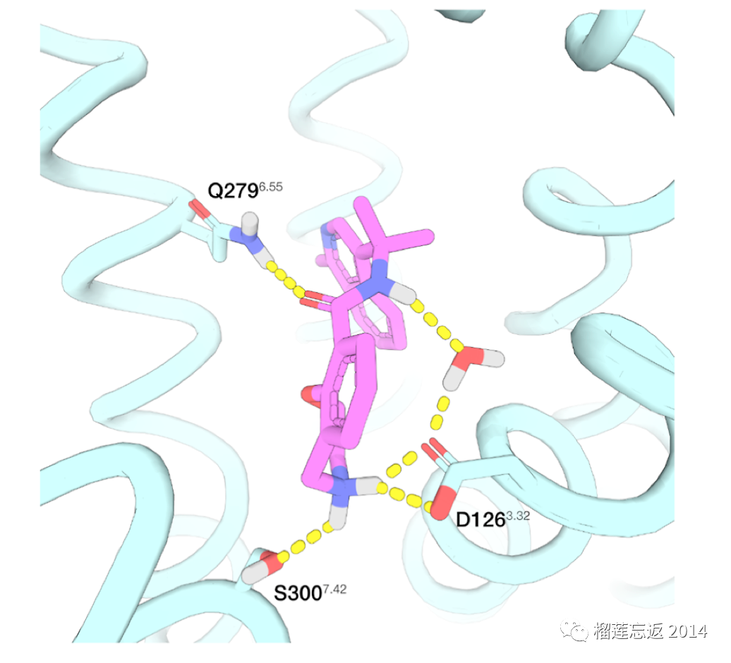 基于结构的 GPCR 药物设计中 IFD-MD 方法和 FEP+计算的联合应用 - 知乎