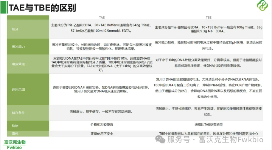 做实验总纠结TAE和TBE怎么选？看完差异就懂了 - 知乎