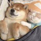 key just one - 知乎