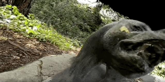 UCLA蒋陈凡夫团队新研究：在VR里控制3D物体，高斯泼溅渲染 - 知乎