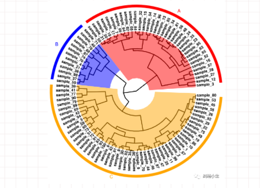 R语言ggtree做圆形进化树 - 知乎