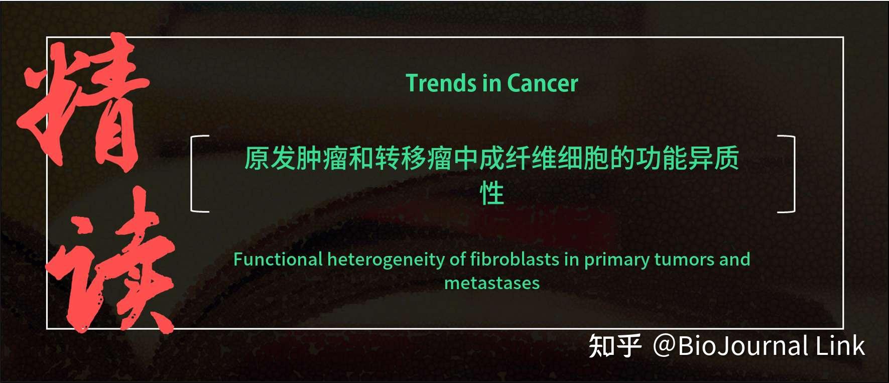 综述 | Trends.Cancer | 原发肿瘤和转移瘤中成纤维细胞的功能异质性 - 知乎