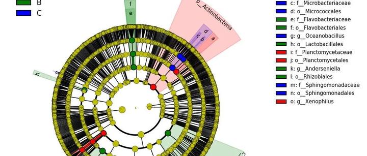 基于LEfSe分析进行微生物物种差异及关联分析 - 知乎
