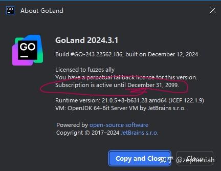 最新版goland安装激活至 December 31, 2099教程 - 知乎