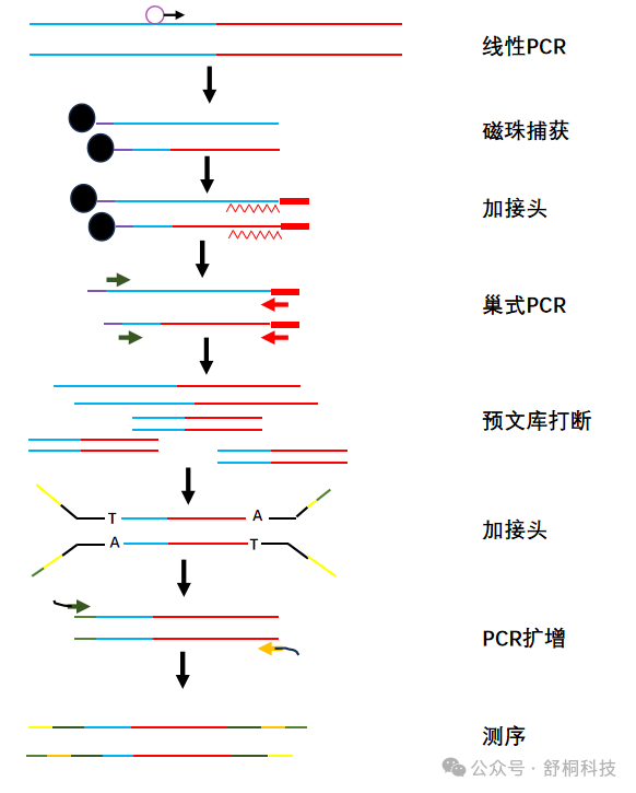 基因治疗安全性分析利器：慢病毒整合位点检测 - 知乎
