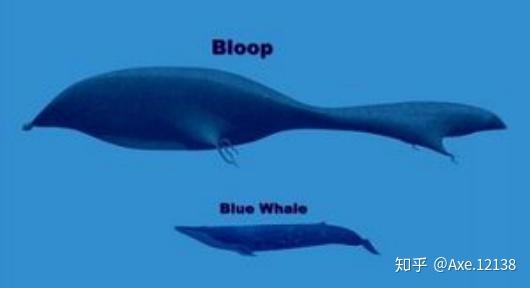 【神秘动物学研究】海洋怪声Bloop——未知生物还是自然现象？ - 知乎