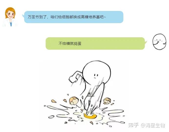 MEM、MEM-EBSS、MEMα 如何区分？？？ - 知乎