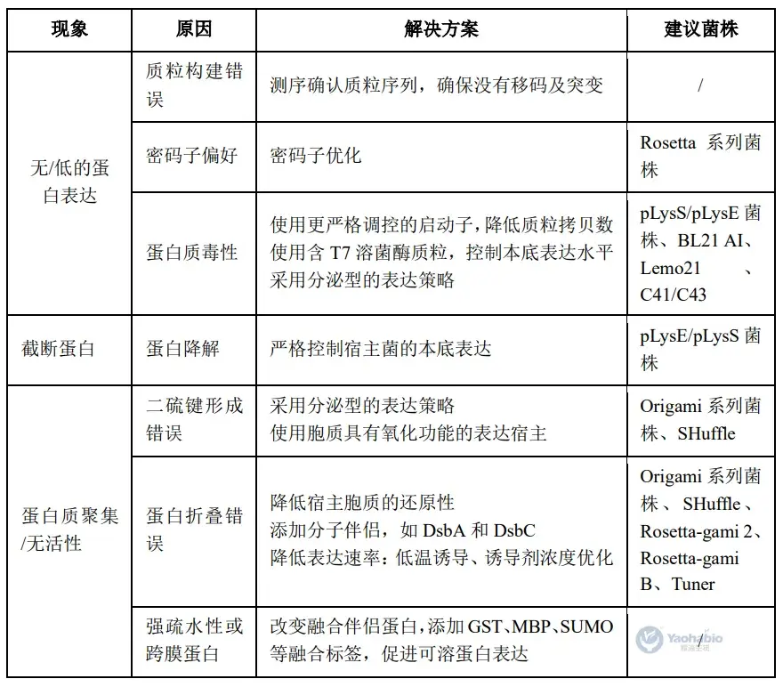 一文读懂大肠杆菌菌株（附重组蛋白表达解决方案） - 知乎