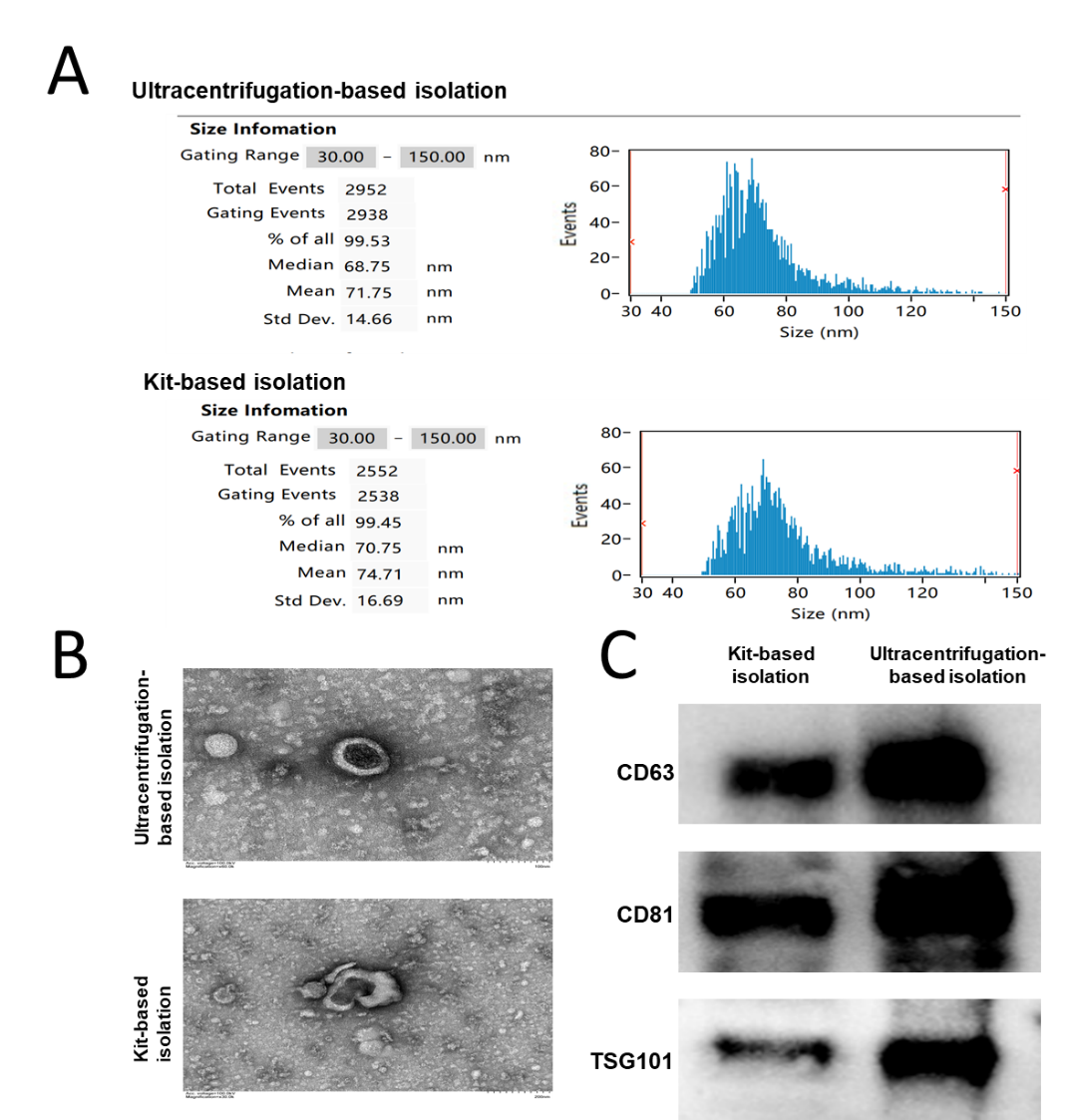 CytoFLEX 流式细胞仪如何表征外泌体？ - 知乎