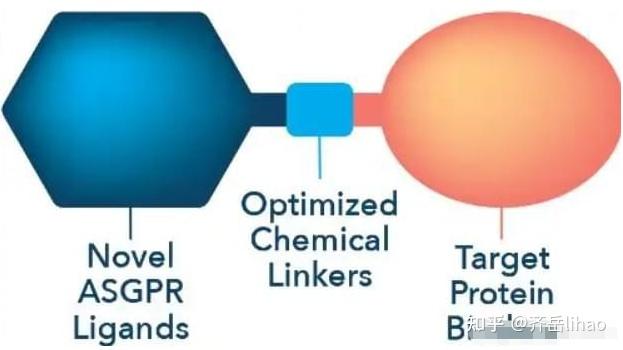 靶蛋白降解PROTAC-Hydroxy-PEG4-(CH2)2-Boc/Lenalidomide-I - 知乎