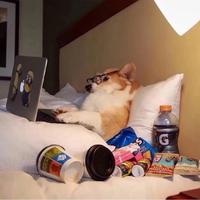 java 实现md5加密的三种方式与解密 - 知乎