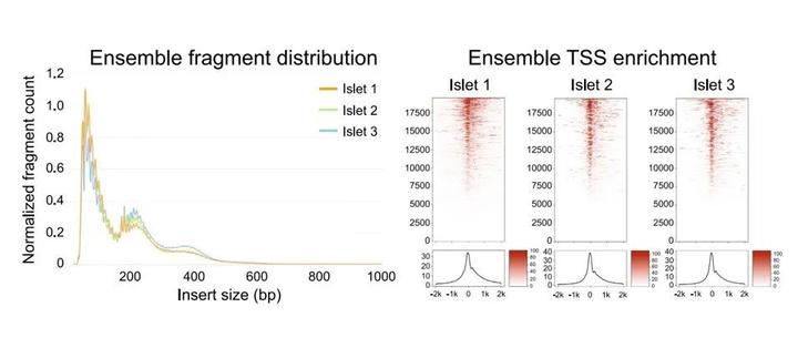 scATAC-seq数据分析之数据质控 - 知乎