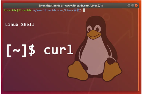 Linux系统如何安装curl。 - 知乎